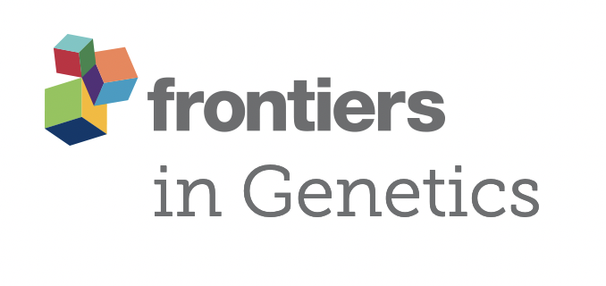 Using Indigenous Standards to Implement the CARE Principles: Setting ...
