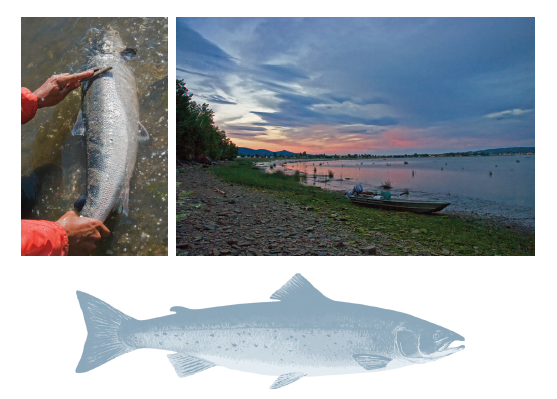 Making First Nation Law: The Listuguj Mi'Gmaq Fishery | Native Nations ...