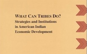 Reloading the Dice: Improving the Chances for Economic Development on ...